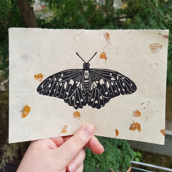 Butterfly Linocut - Etsy UK