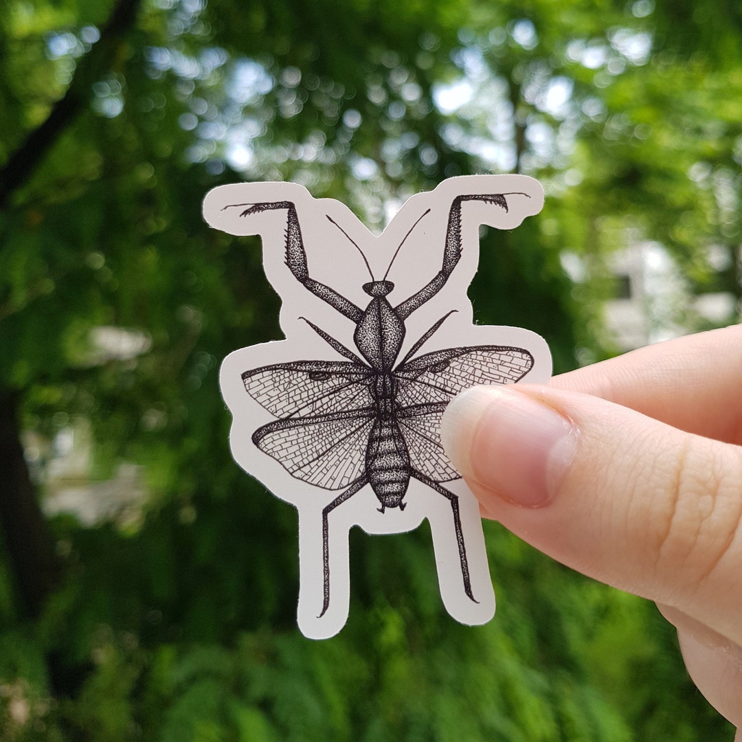 Mantis Insect Vinyl Sticker - Etsy UK