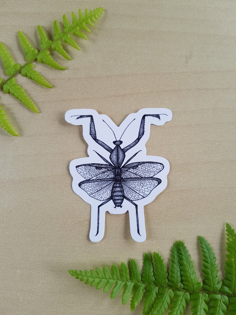 Mantis Insect Vinyl Sticker - Etsy UK