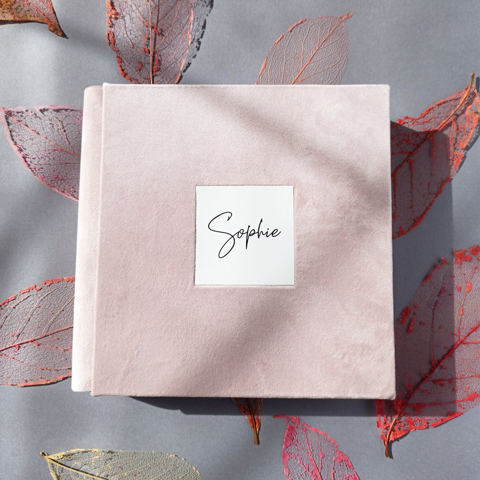 Velvet Photo Album / Light Pink Photo Album / Children Album / - Etsy