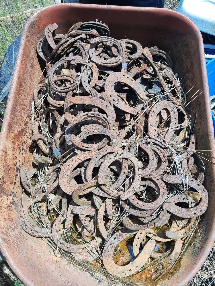 20 Old Used Rusty Horseshoes in Various Sizes - Etsy