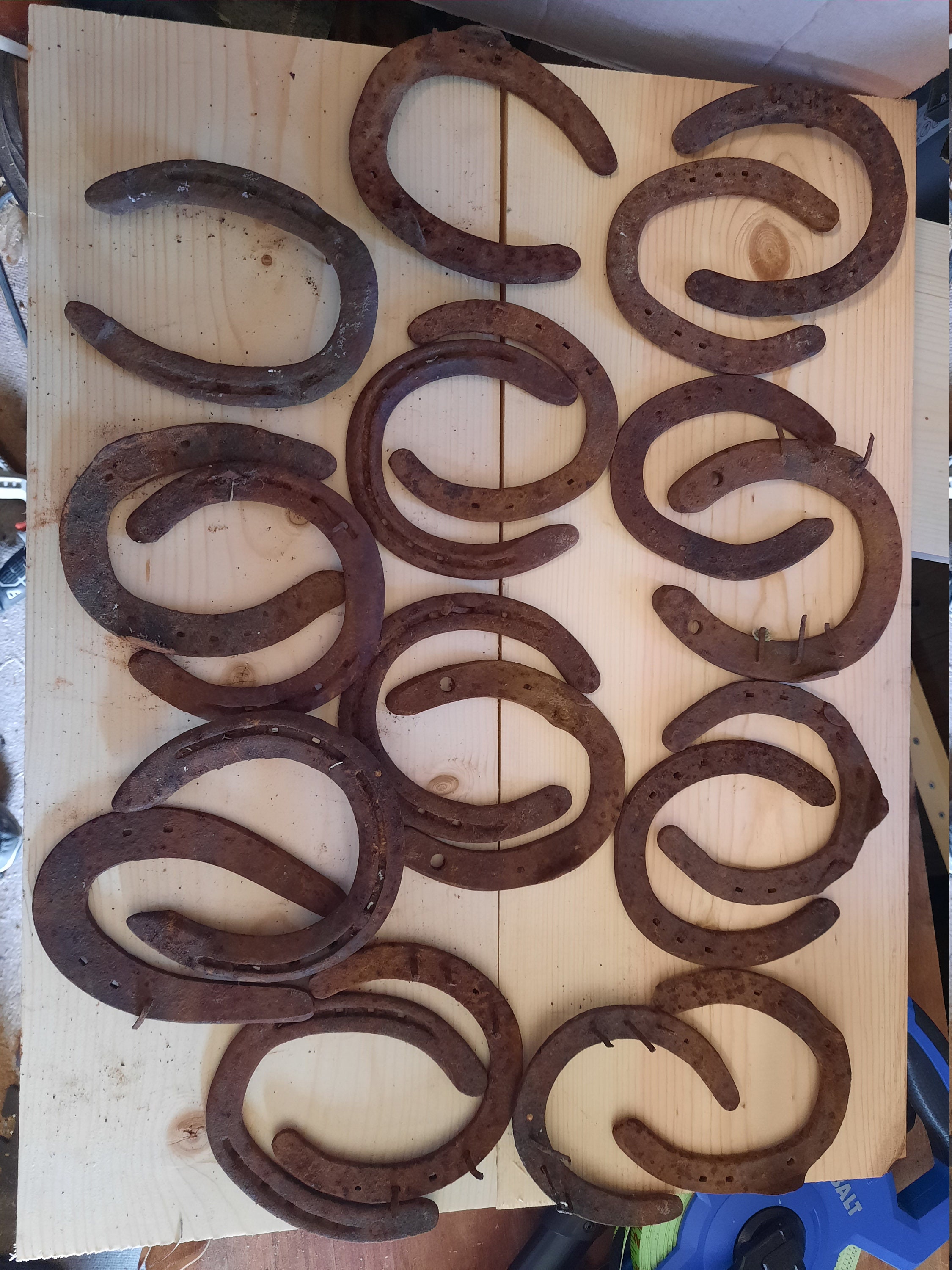 20 Old Used Rusty Horseshoes in Various Sizes - Etsy