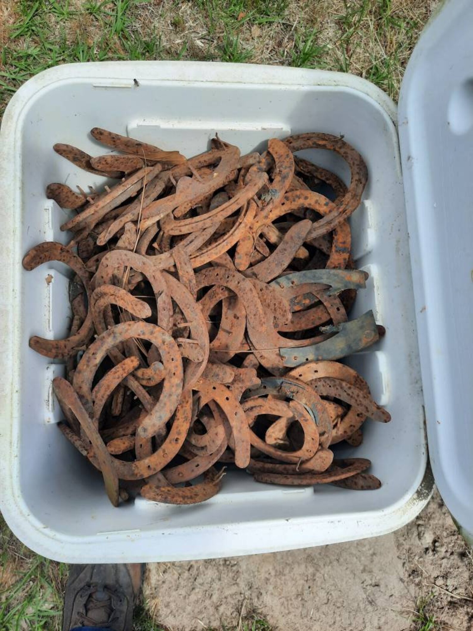 20 Old Used Rusty Horseshoes in Various Sizes - Etsy