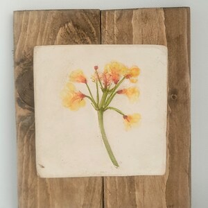 Botanical Picture, Ceramic Tile, Ulive, Decorative Wood Panel, Handmade ...