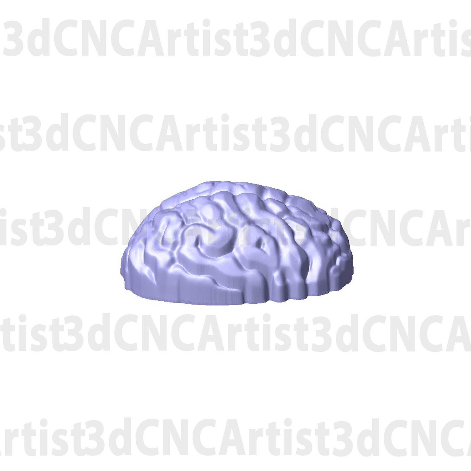 Brains STL File for 3d Printing Laser CNC Router 3D - Etsy Singapore