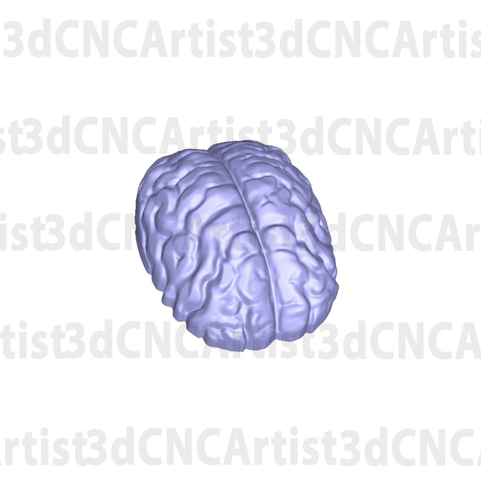 Brains STL File for 3d Printing, Laser, CNC Router - 3D Printable Model ...