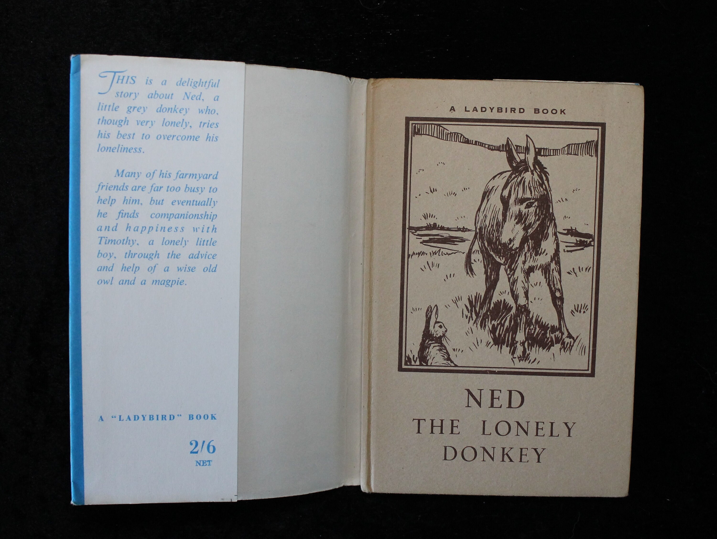 Ned the Lonely Donkey Rare Vintage Ladybird First Edition C.1949 ...