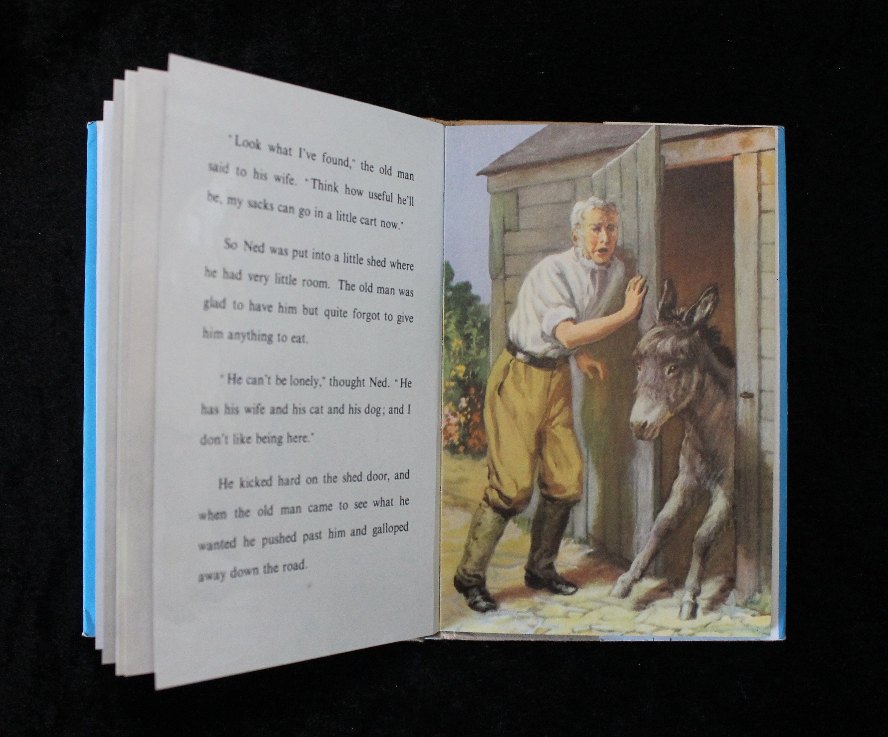 Ned the Lonely Donkey Rare Vintage Ladybird First Edition C.1949 ...