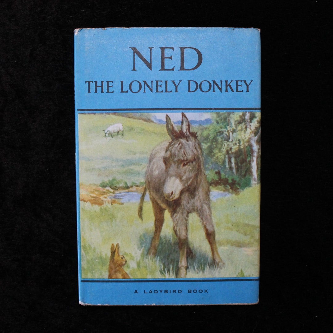 Ned the Lonely Donkey Rare Vintage Ladybird First Edition C.1949 ...