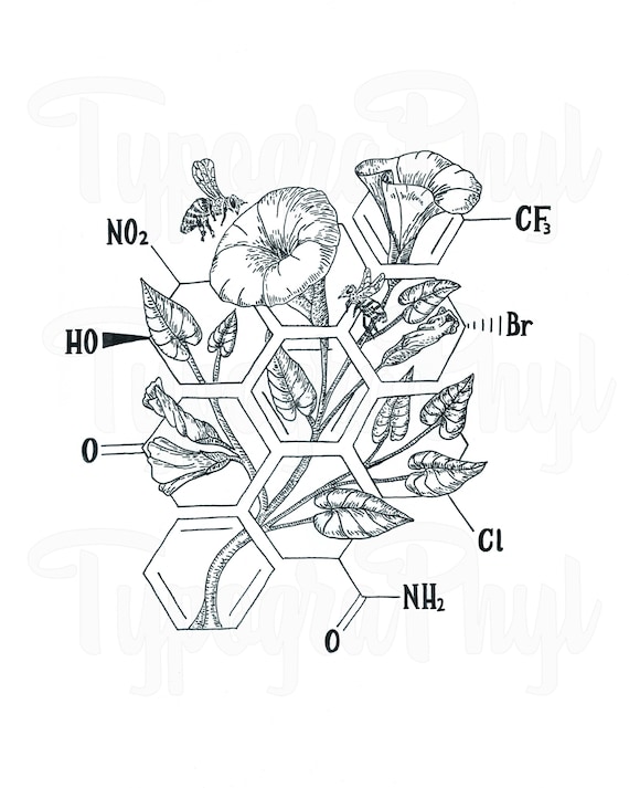 Chemistry Flowers | Etsy