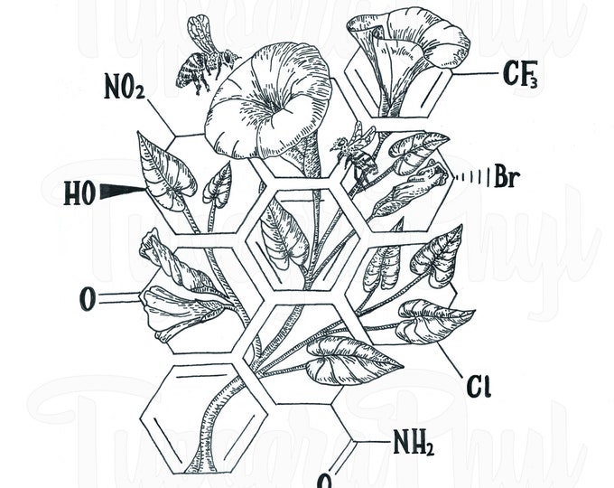 Chemistry Flowers - Etsy