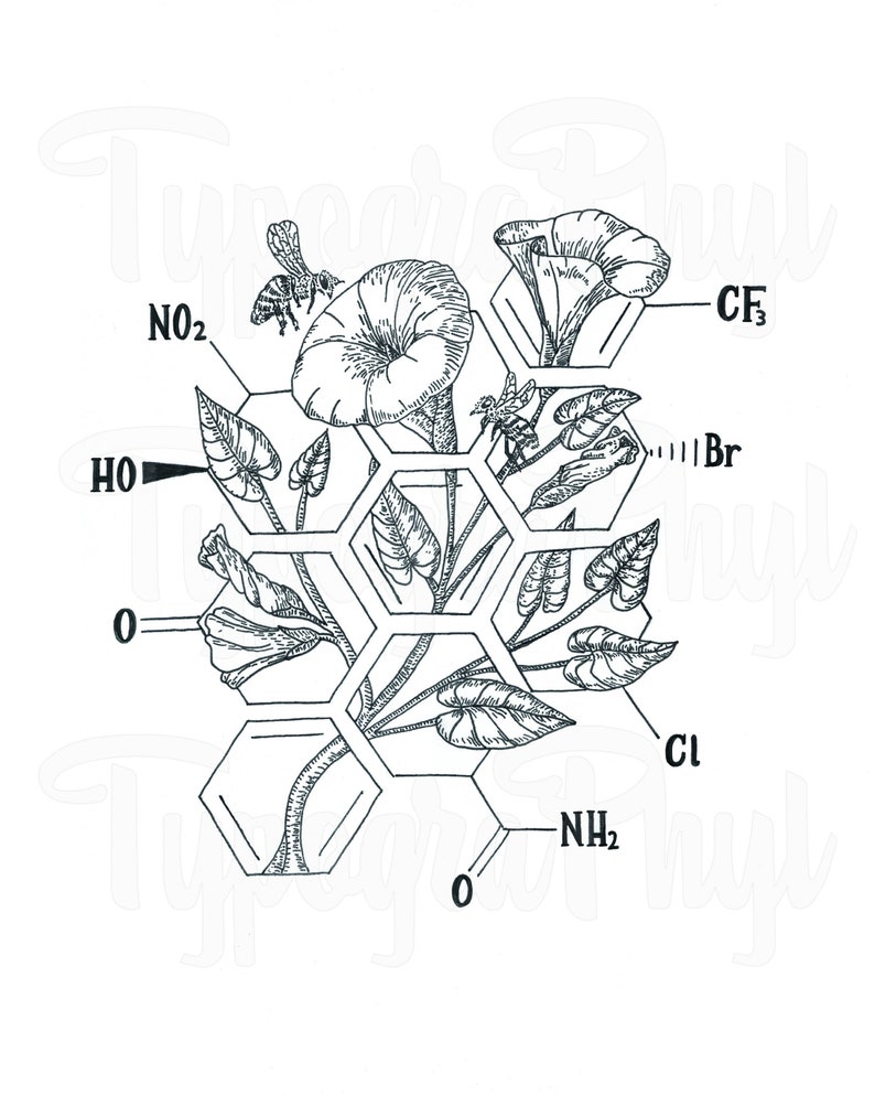 Chemistry Flowers: Science Illustration Art - Etsy