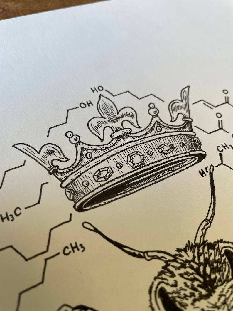 Queen Bee Pheromones - Etsy