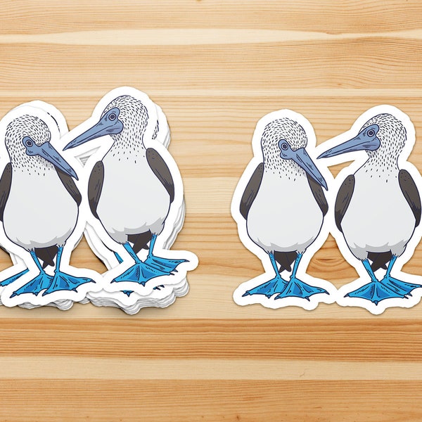 Blue Footed Booby - Etsy