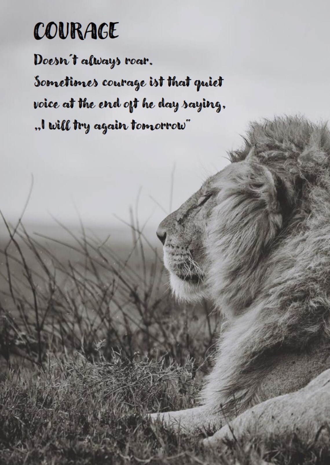 Poster Download Black and White Lion Courage, Wild, Animal, Card ...