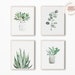 Set of 4 Botanical Prints, Eucalyptus Prints, Green Plant Prints ...