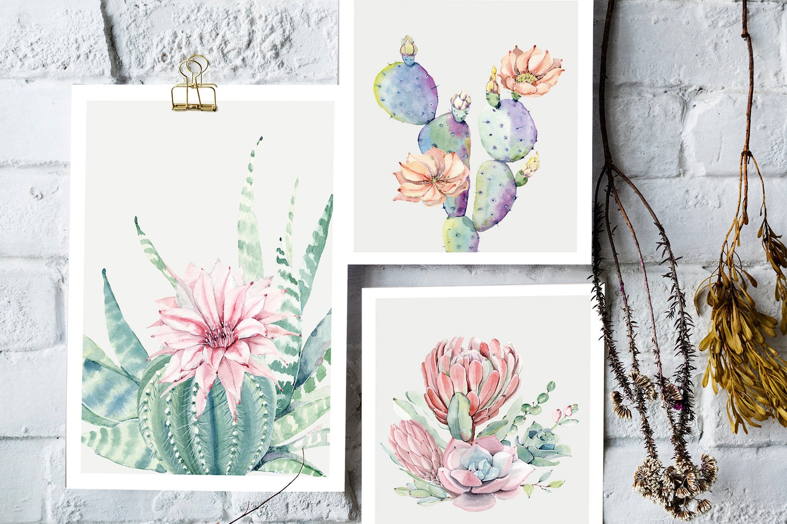 Set of 5 Cactus Prints,botanical Prints,watercolor Cactus,succulent ...