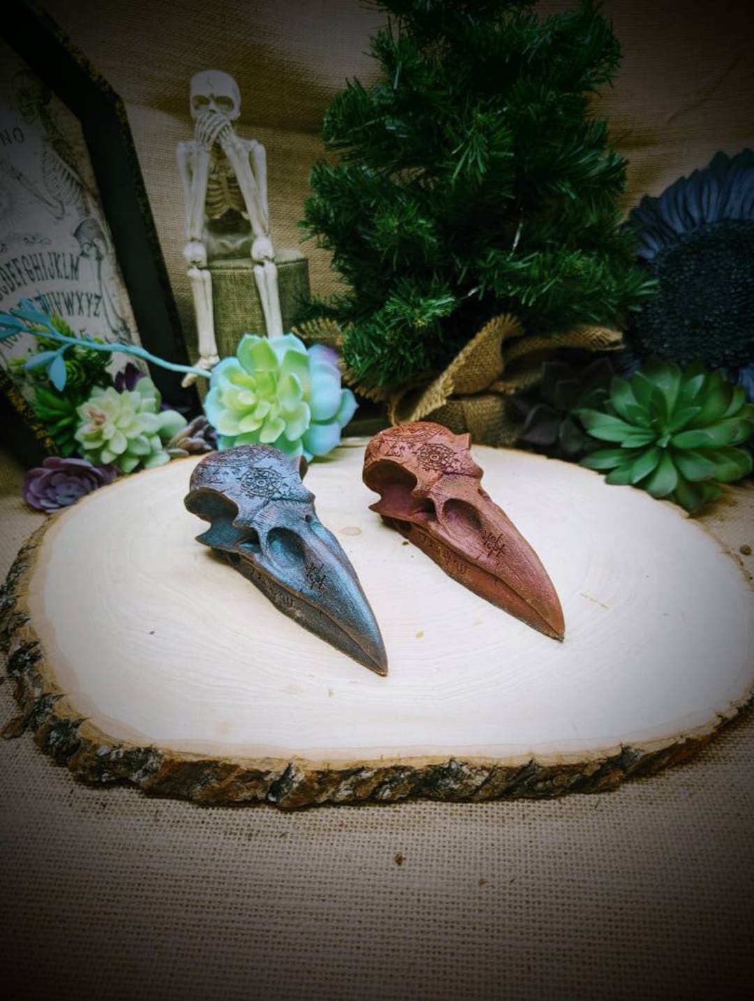 Large Colored Raven Skulls/ Crow/ Skull/ Norse/ Pagen / Witch / Animal ...