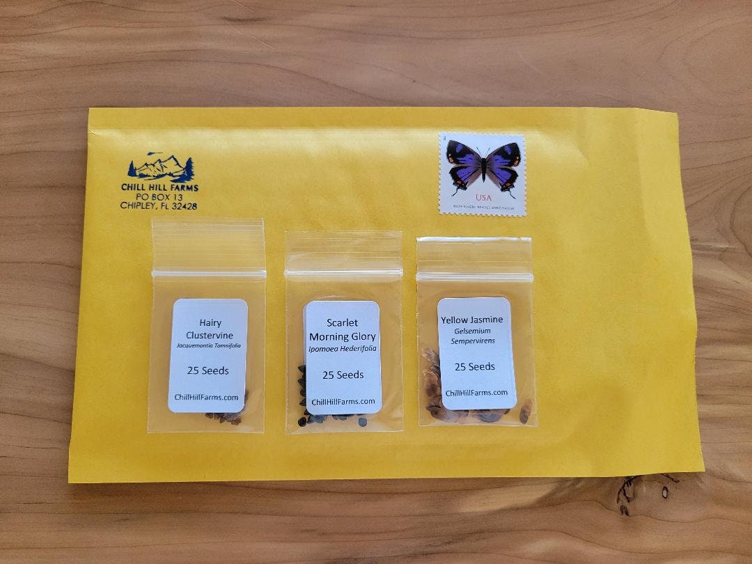 Vine Time Kit 3 Varieties 25 Seeds Each Hairy Clustervine, Scarlet ...
