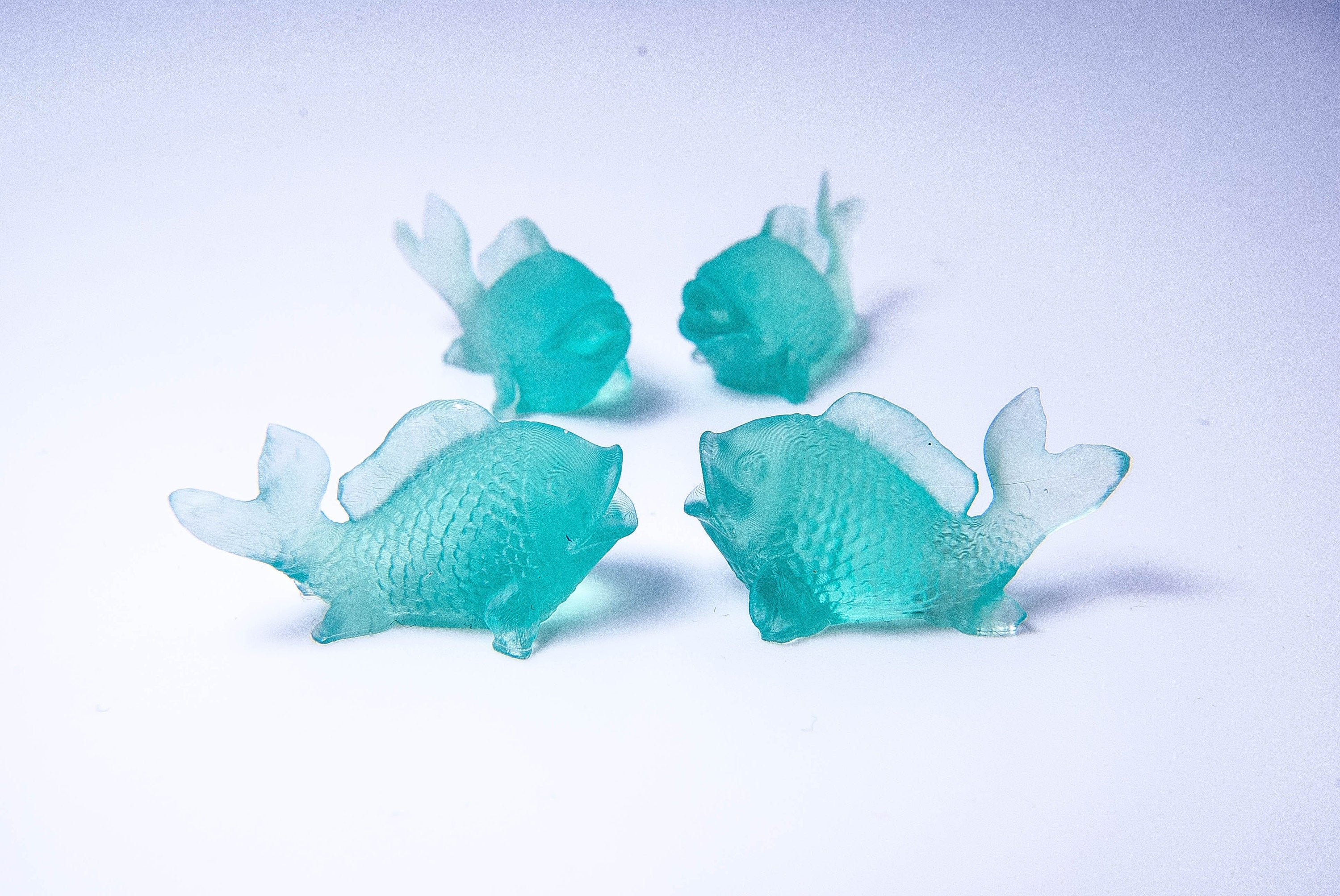 Fish Token Fish Tokens Board Game Tokens Stone Age Tokens | Etsy UK