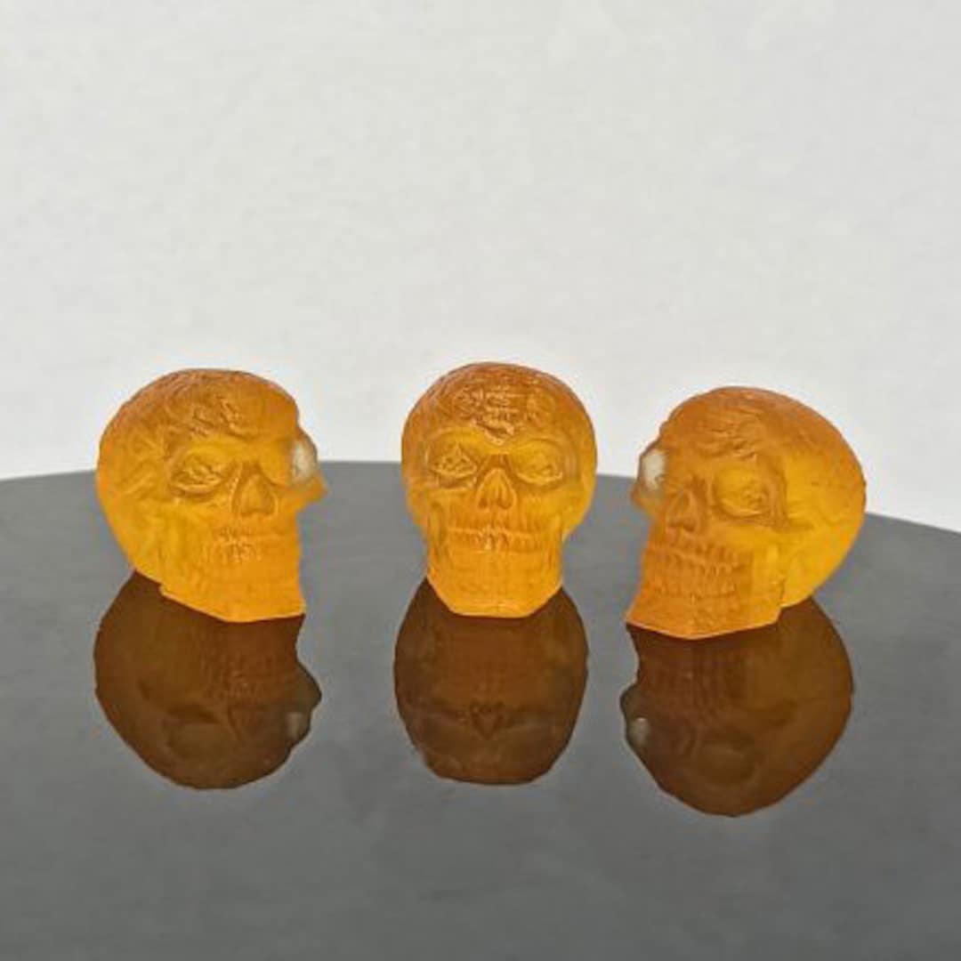 Skull Token, Death Token, Board Game Token, Resource Token, Resource ...