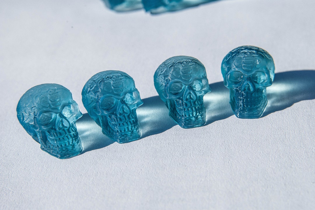 Skull Token, Death Token, Board Game Token, Resource Token, Resource ...