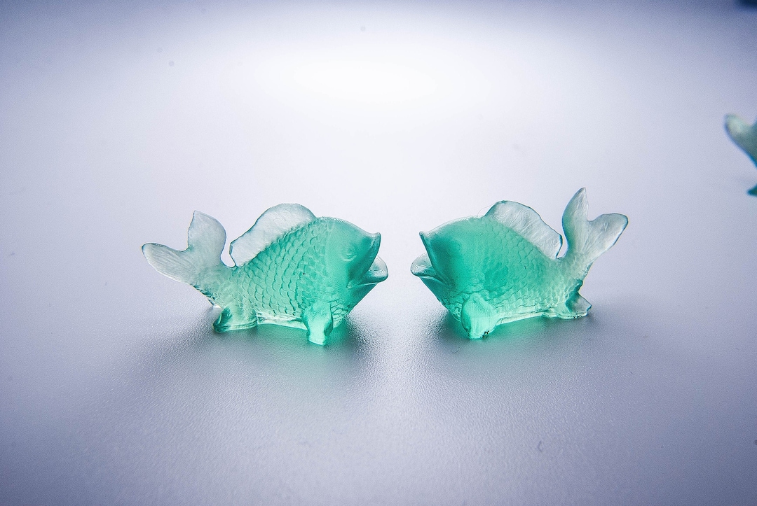 Fish Token, Fish Tokens, Board Game Tokens, Stone Age Tokens, Polynesia ...