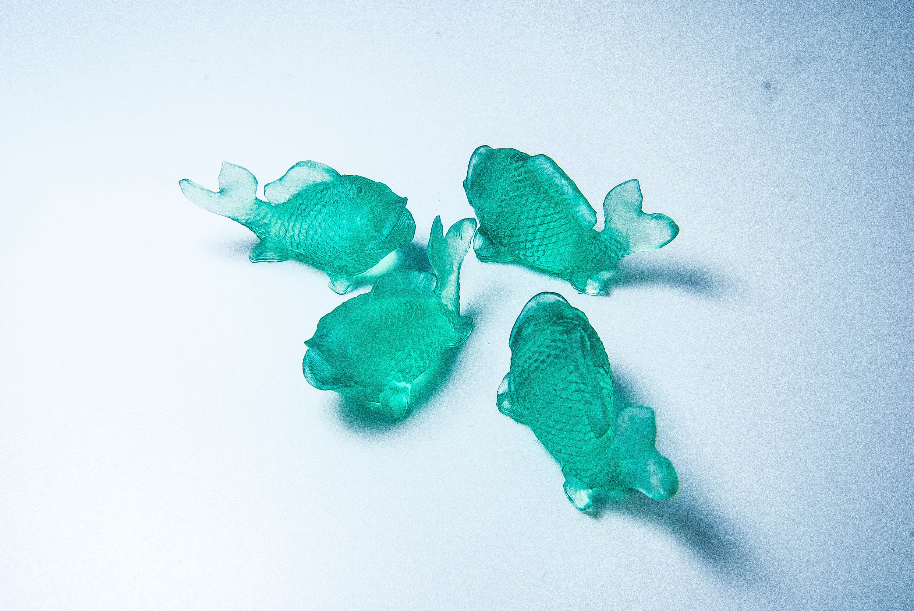 Fish Token Fish Tokens Board Game Tokens Stone Age Tokens | Etsy UK