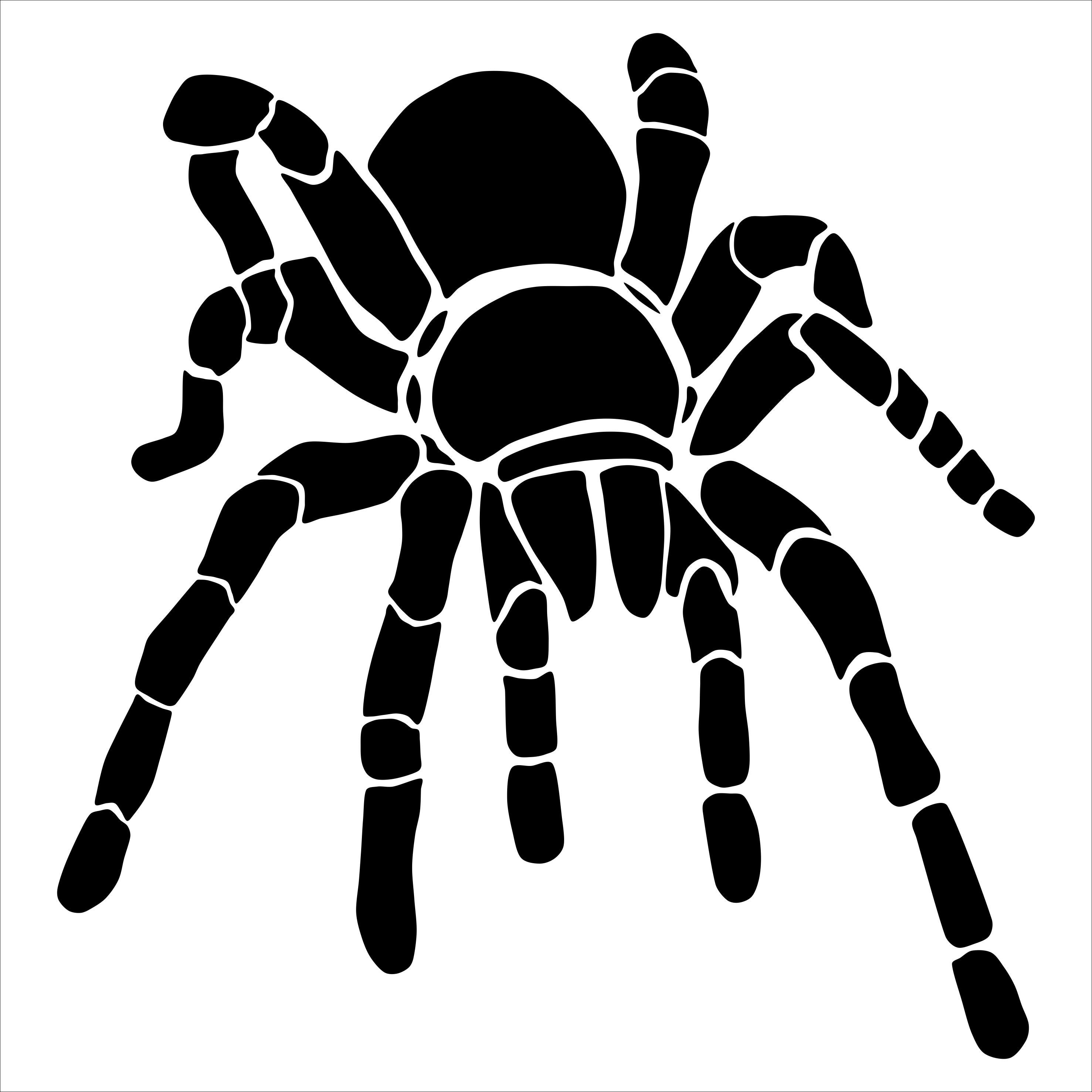 Spiders, Set of Three Drawings, Clip Art, Vector Drawing, Sticker ...