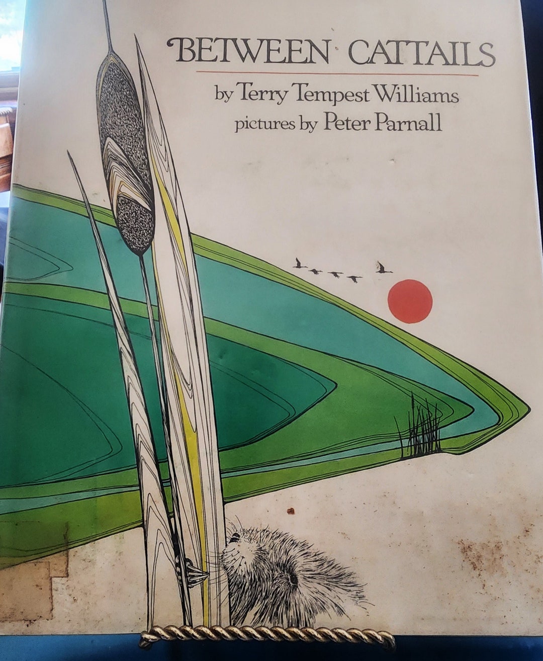 Vintage Between Cattails 1st Edition Hardcover and Dustcover Tami ...