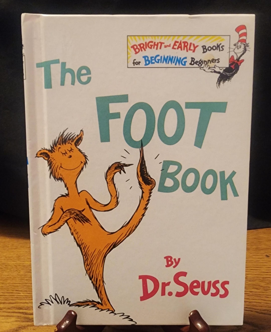 Vintage 1968 the Foot Book - Etsy