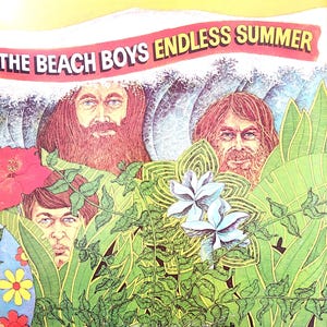 Vintage Beach Boys Endless Summer - Vinyl Record - Etsy