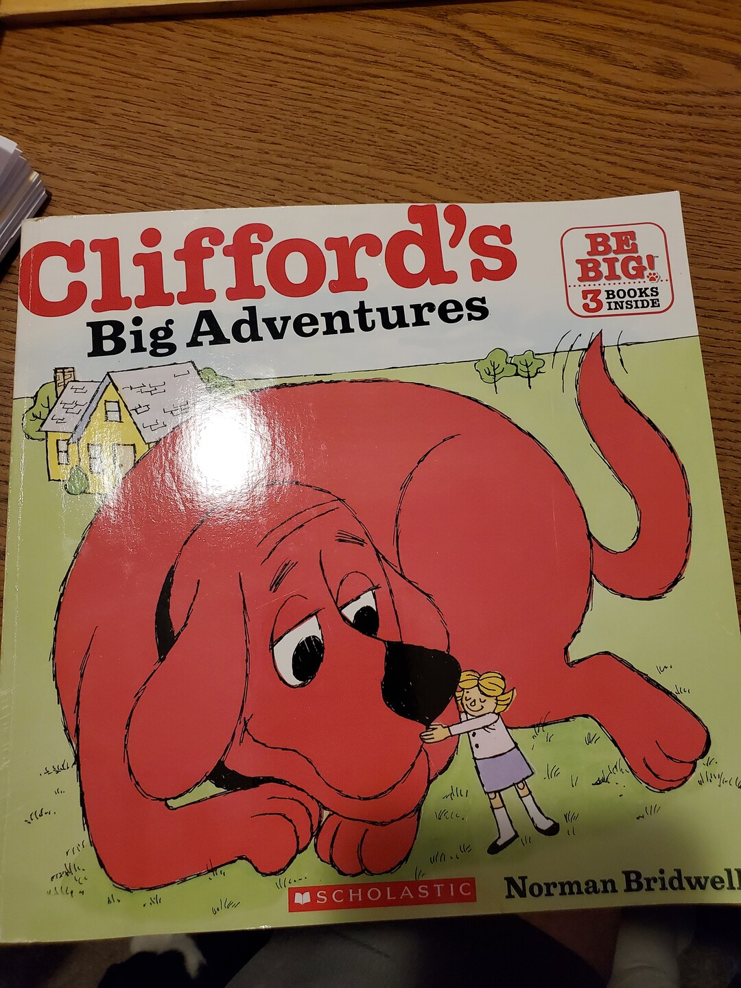 Vintage Clifford's Big Adventures Norman Bridwell 2002 Soft Cover - Etsy