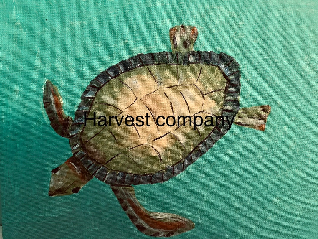 Beautiful 8x10 , Print of Sea Turtle - Etsy