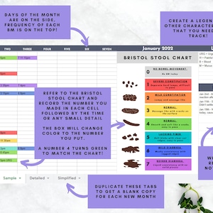 Monthly IBS Tracker Google Sheets | Customizable Bowel Movement Log ...