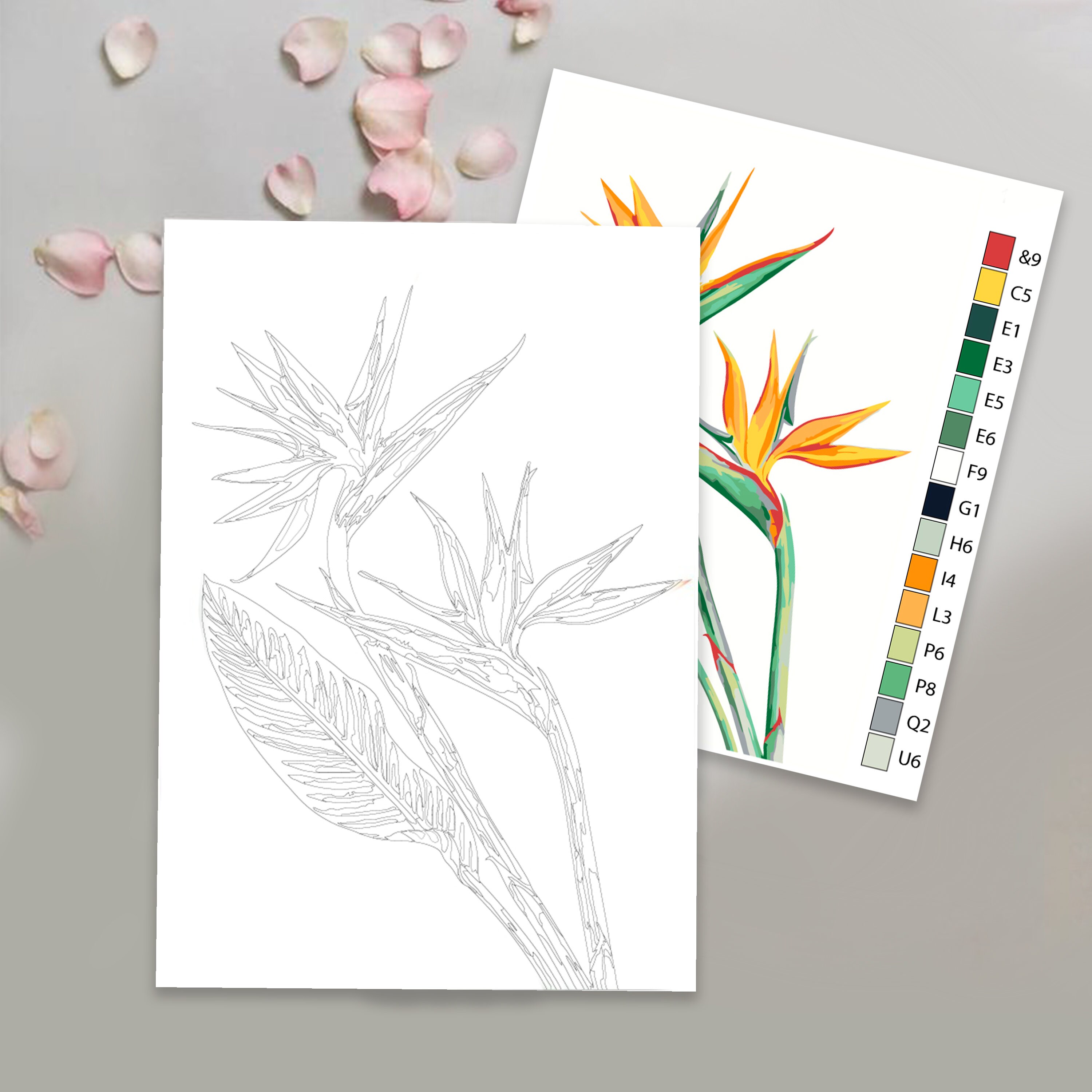 Yellow Flowers Color by Number Kit Floral Painting Art Project - Etsy