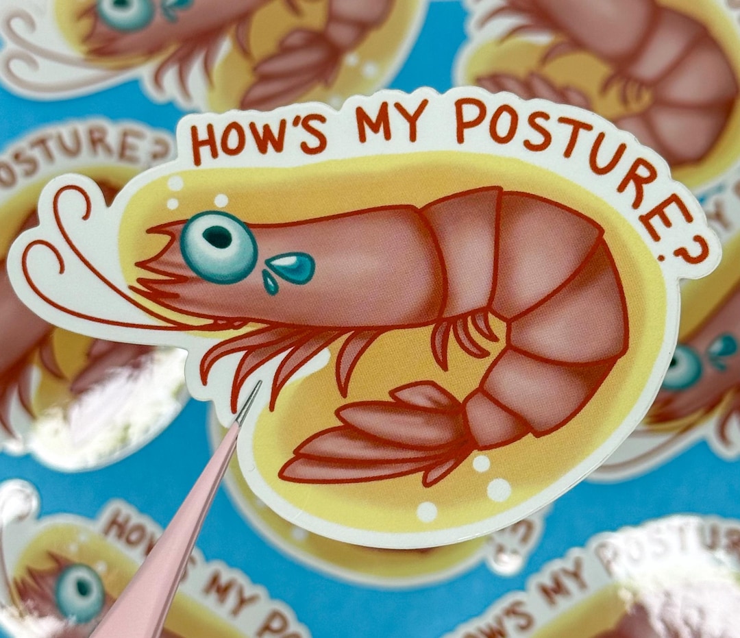 Shrimp Posture Vinyl Sticker - Etsy