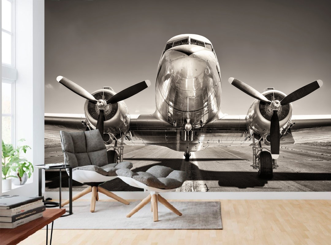 Airplane Wallpaper, Airplane Wall Mural, Aviation Wallpaper, Self ...
