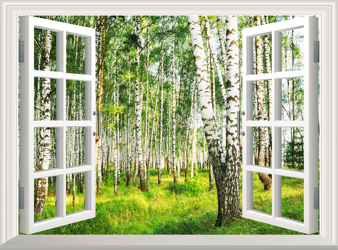 Birch Forest Window View Wall Decal: 3D Vinyl Art Mural - Etsy