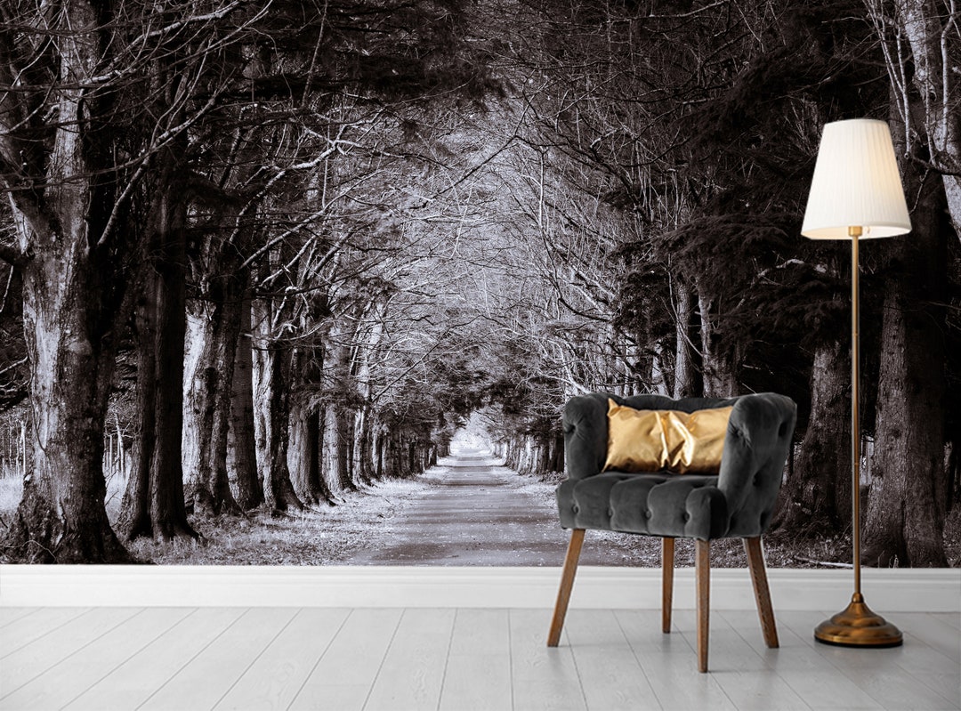 Old Trees Alley Mural: Forest Road Photo Wallpaper, Peel & Stick - Etsy