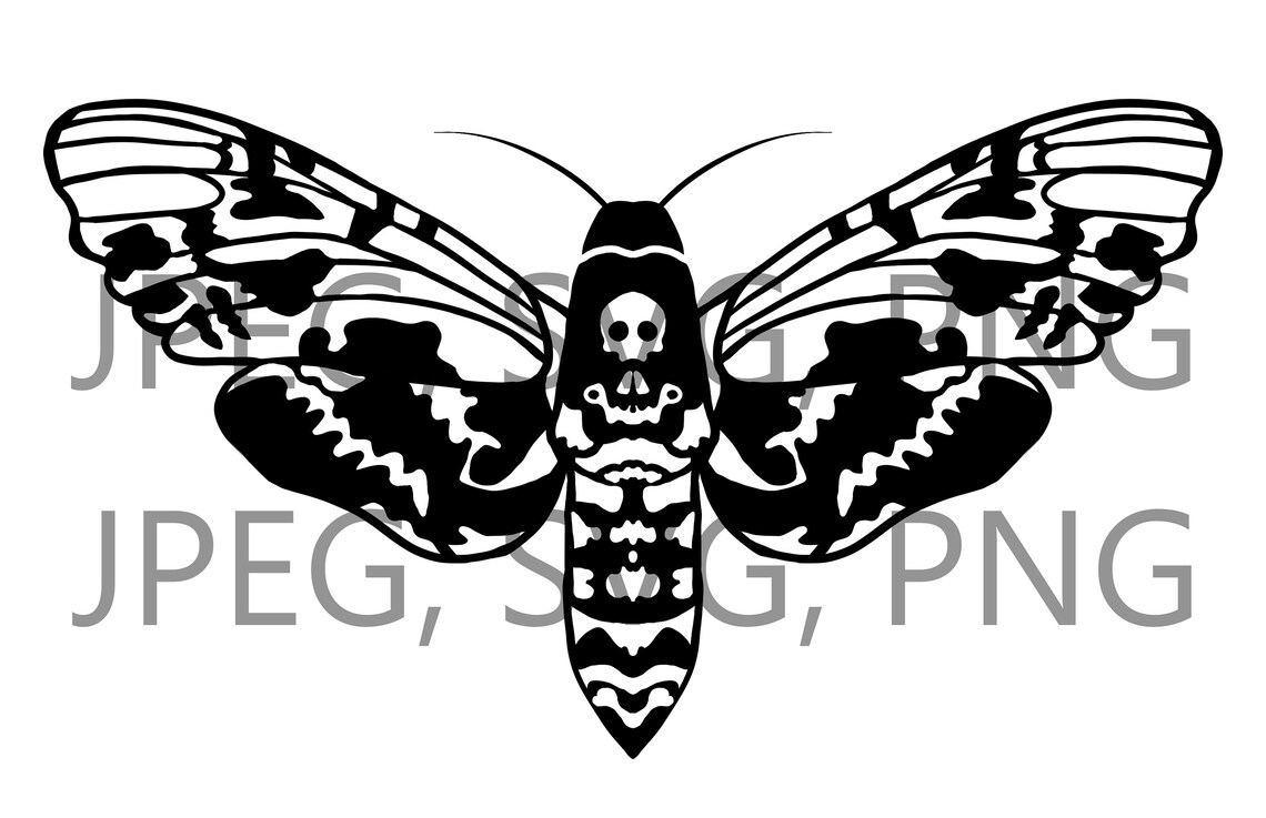 Hawk Moth SVG, Hawk Moth PNG, Hawk Moth JPEG, Moth Clipart, Moth Png - Etsy