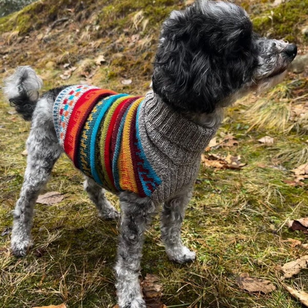 Small Dog Sweater - Etsy