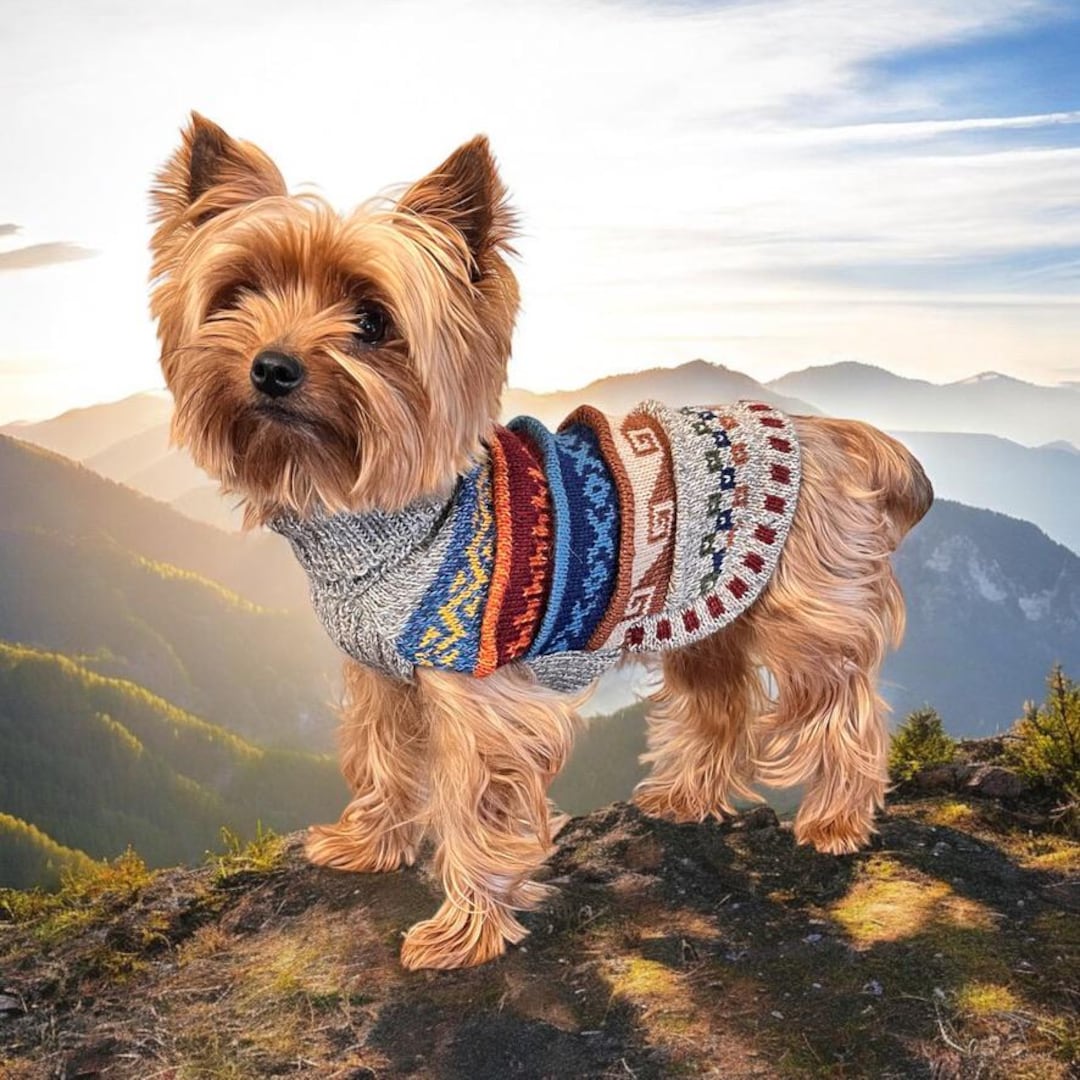 Handmade Alpaca Dog Sweater: Oatmeal Tweed Nazca Style (SIZES XX0-8) - Etsy