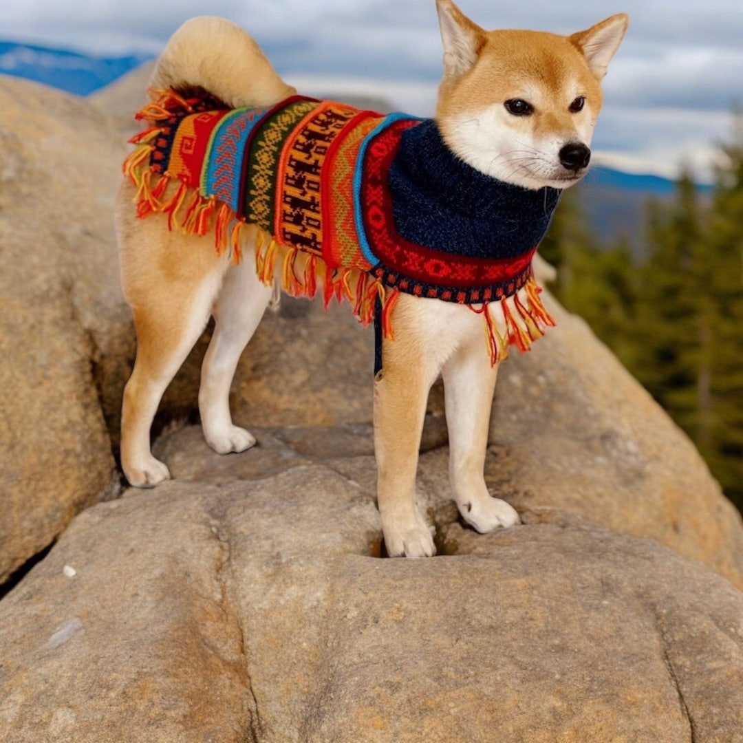 Alpaca Dog Poncho Sweater Handmade in Peru, Luxury Small Dog Sweater ...
