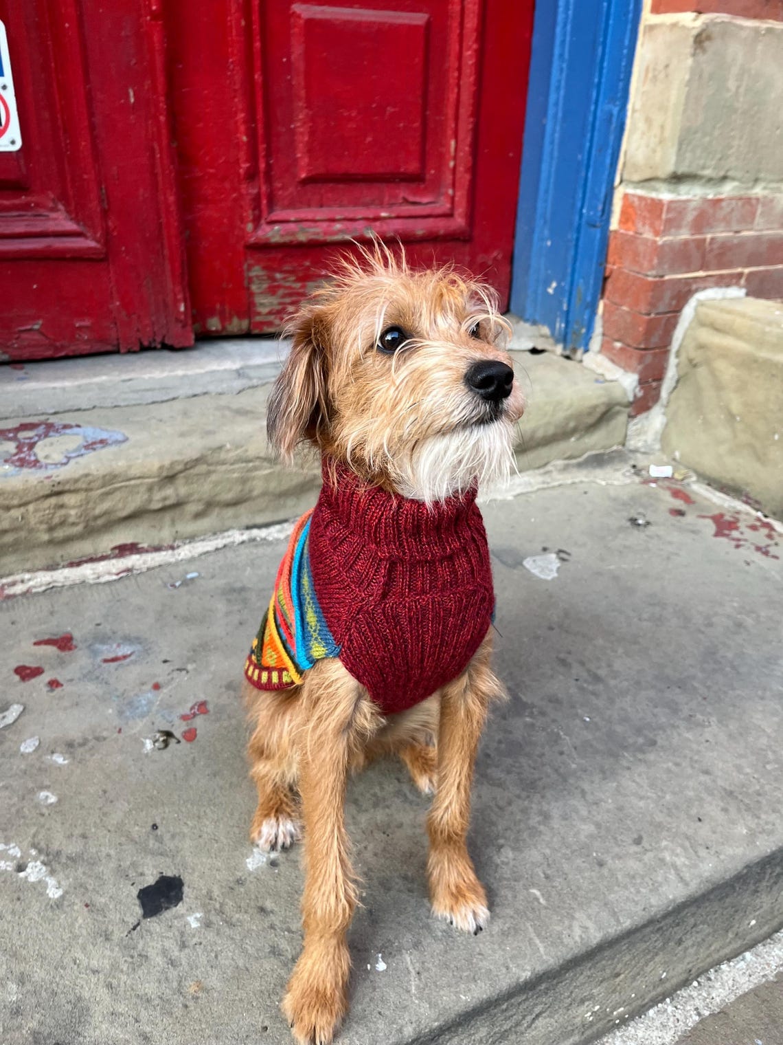 Nazca Style, Handmade Baby Alpaca Dog Sweater: Inca Red Knit With Leash ...