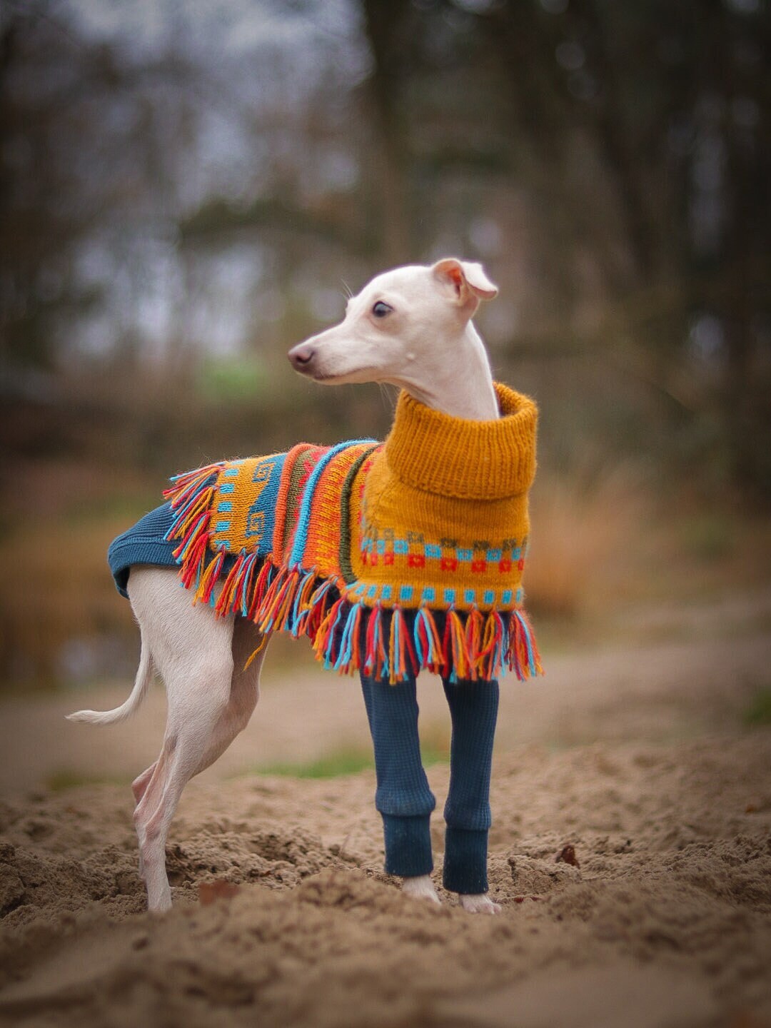 HONEY MUSTARD Color Dog Poncho. Handmade in the Andes of Peru With Baby ...