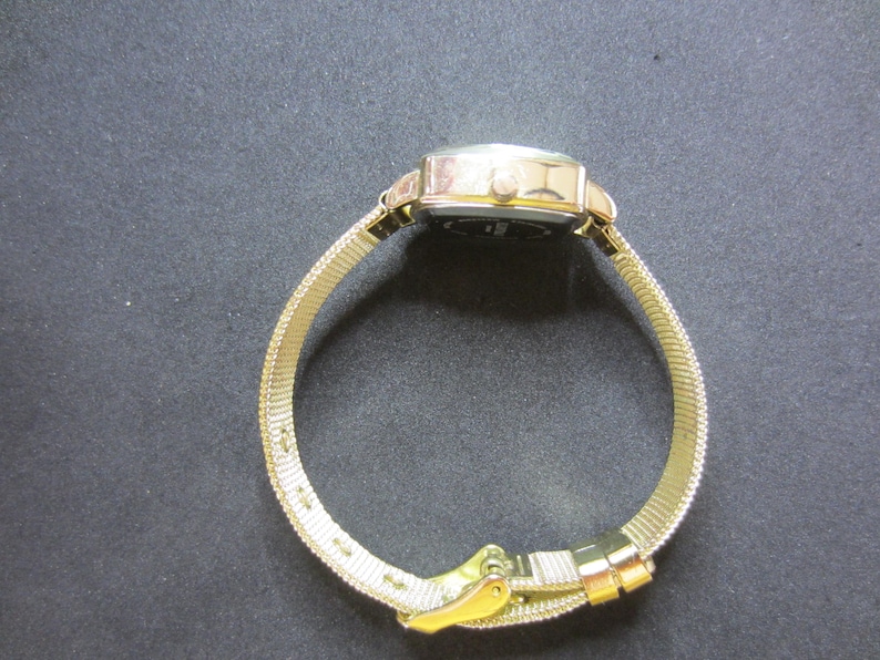 Ellen Tracy Womens Watch ET5188GD Gold Dial 23x30mm Quartz Stainless ...