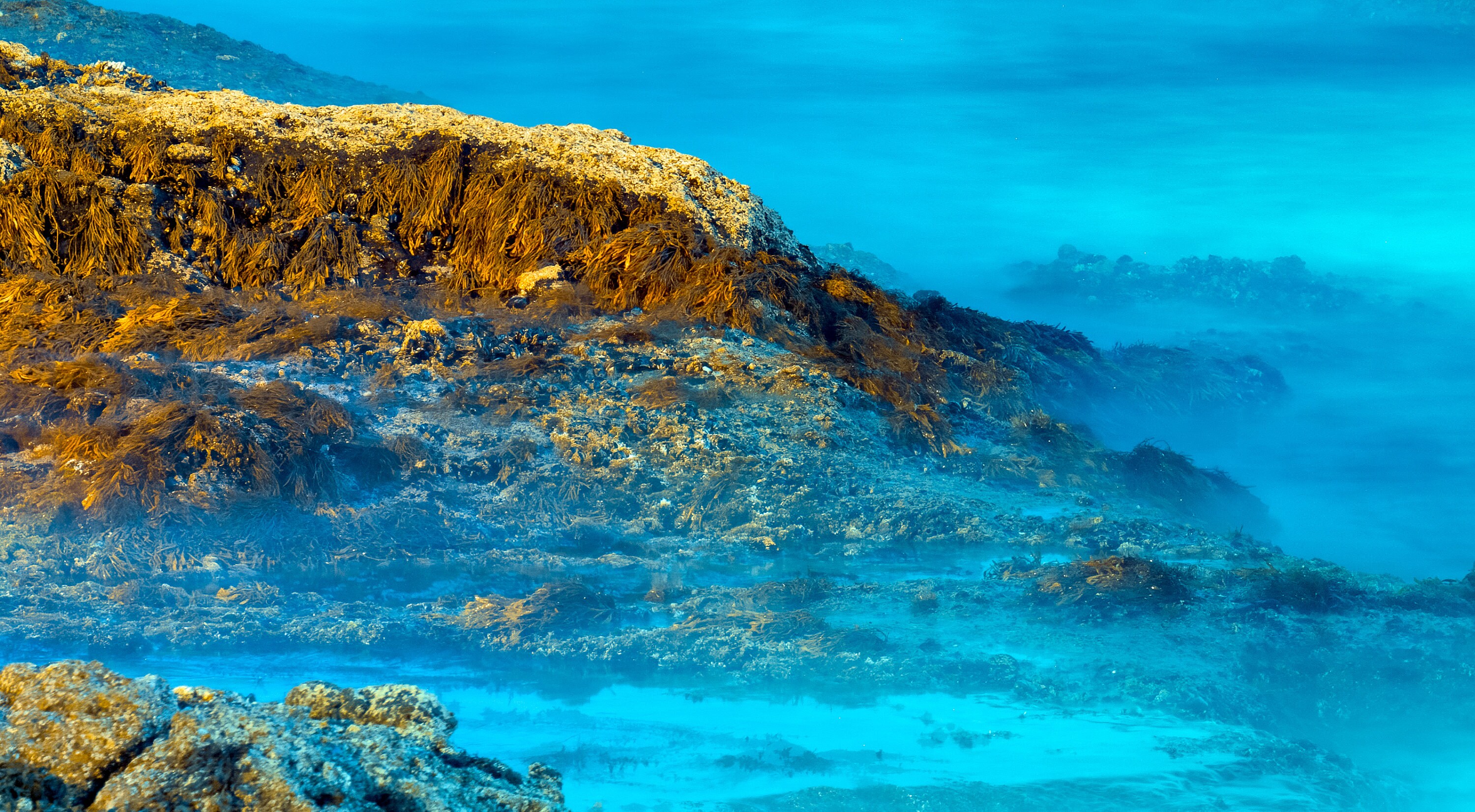 Floating Dreams, Dreamy Blue Sea, Beach Sunrise, Beach Sunrise Wall ...