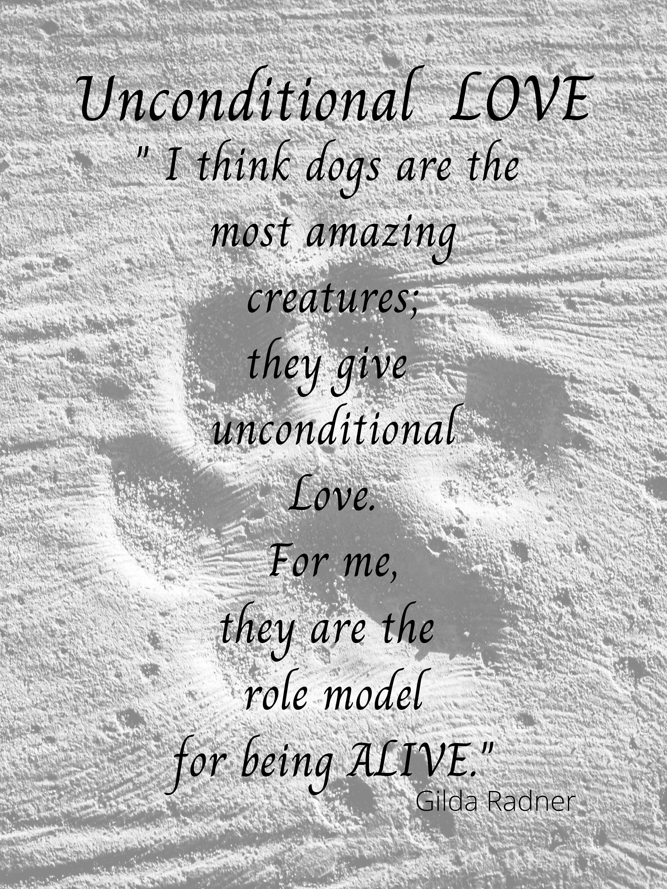 Unconditional Dog Love Quotes