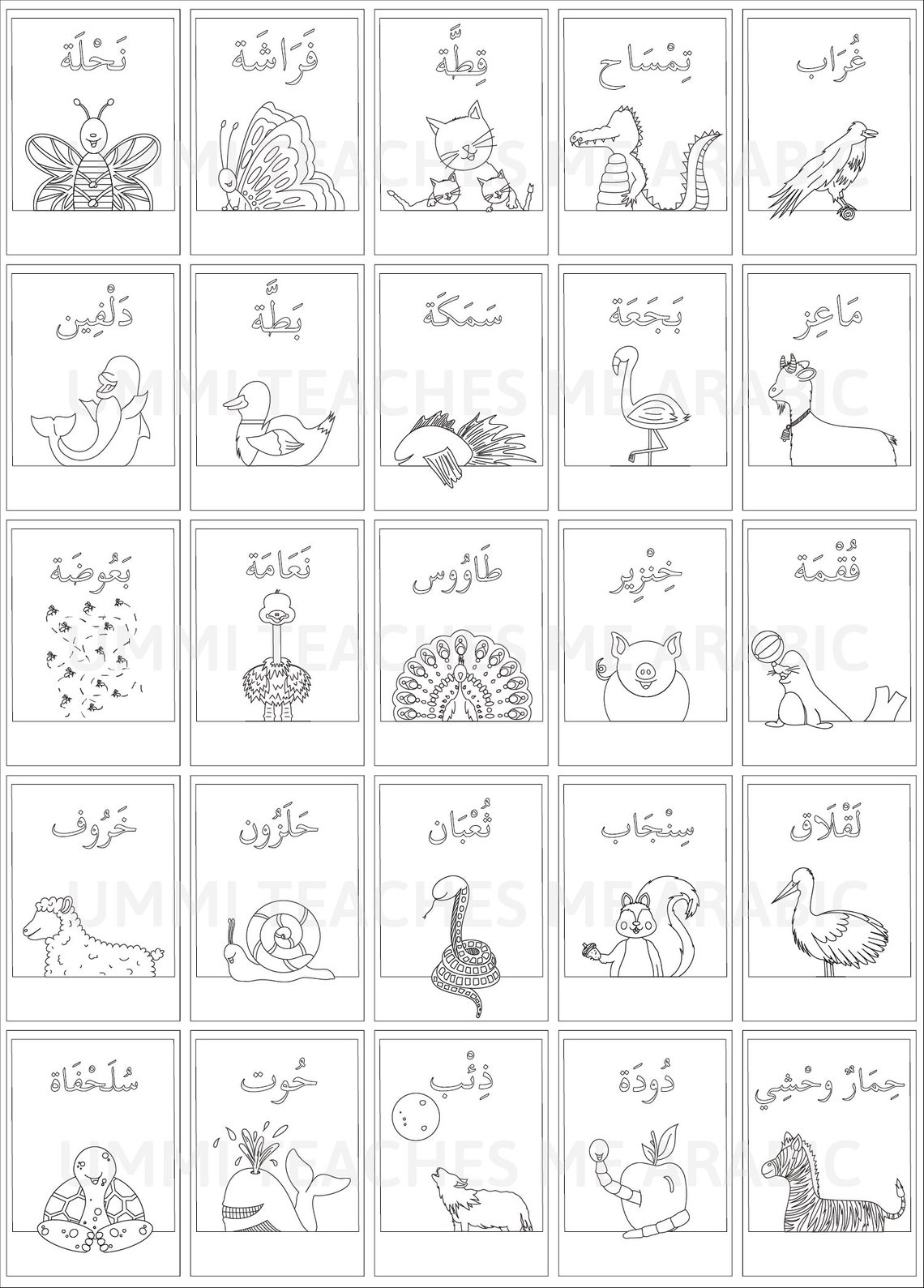 Arabic Colouring Pages Learning Arabic for Children Learn - Etsy